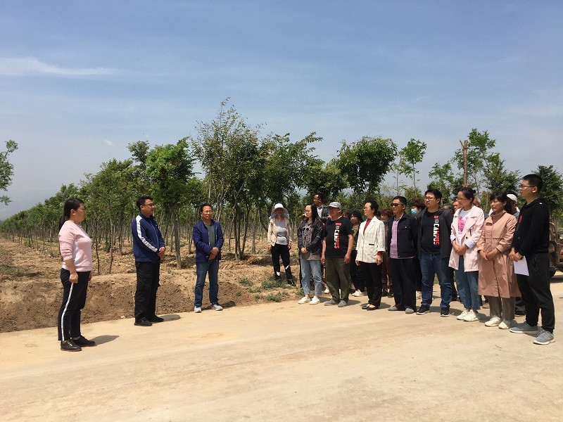 山西省林木良种培育中心与山西省林科院合作 联合共建乡土树种良种选育基地 关注森林