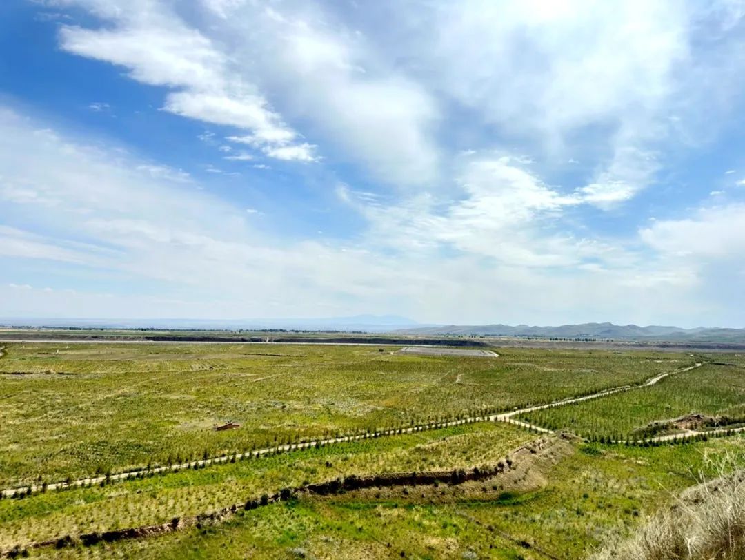 祁连山水涵院：1项目入选2024年省级人才项目 _www.isenlin.cn