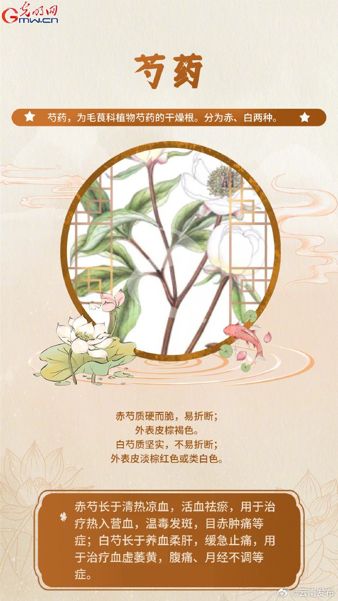 【科普】原来它们都是中草药 _www.isenlin.cn