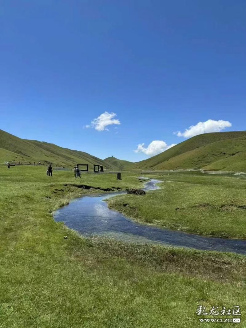 生态云南 大海草山 - 关注森林