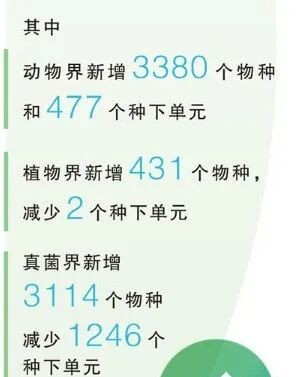 《中国生物物种名录2026版》发布 新增6154个物种及种下单元 - 关注森林